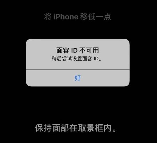 苹果面容晚上识别不了图标