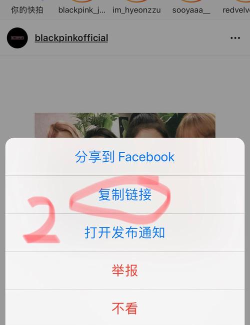 ins快拍怎么保存图标