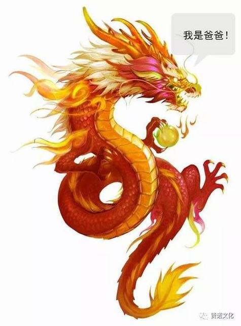 九龙子图片大全截图
