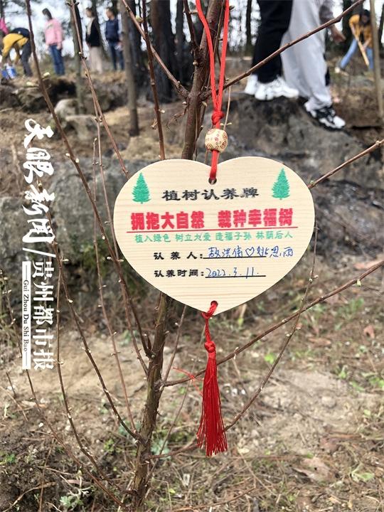 种树能赚钱吗图标