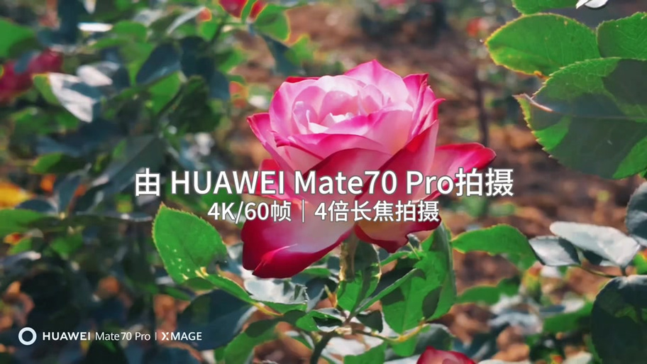 华为手机烟花录像参数