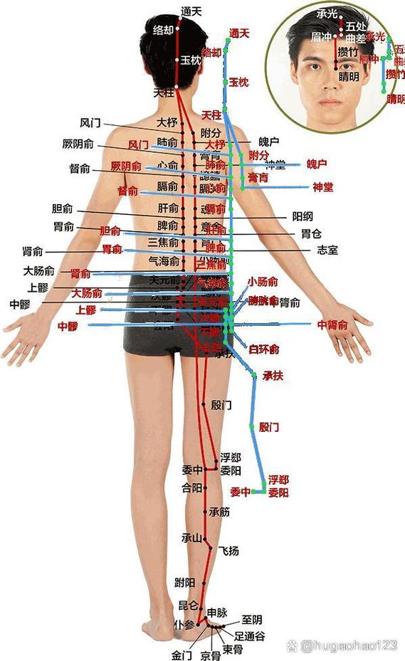 全身的准确位置图片上完图标