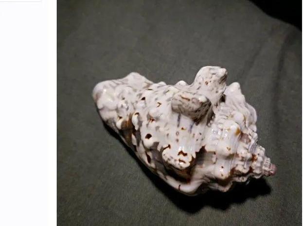 海螺电子包浆生成器图标