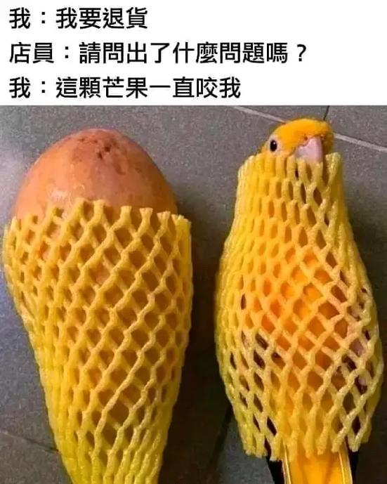 今年最爆笑的70个梗截图