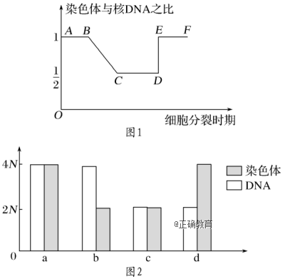 起源高三com.试卷解析官网截图