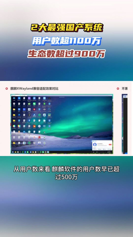 uos查看安装的软件