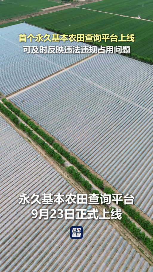 怎么查基本农田图标