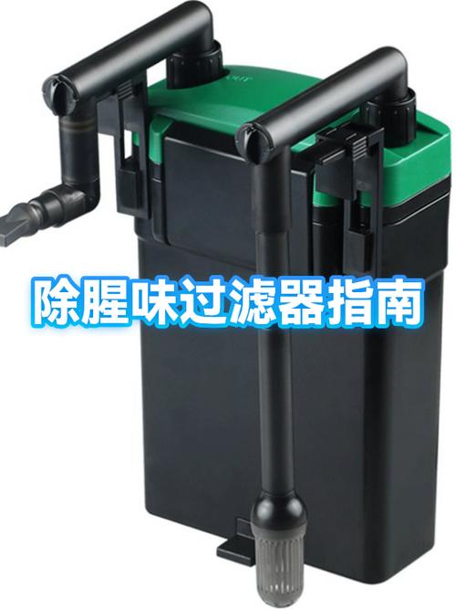 鱼缸里有腥味怎么去除腥味图标