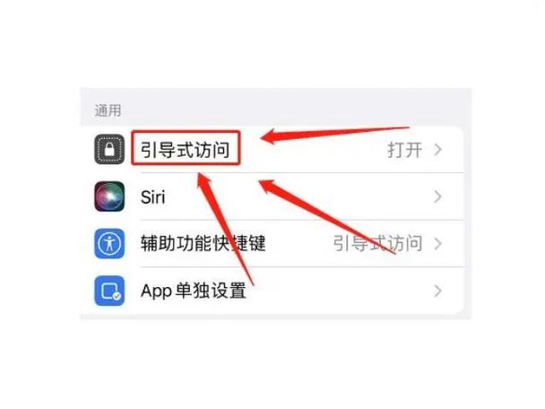 安卓的引导式访问在哪里图标