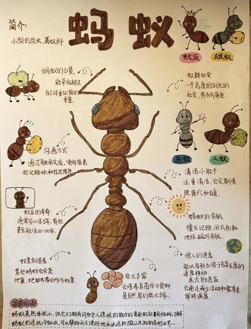 挠小蚂蚁一百天脚心会怎么样