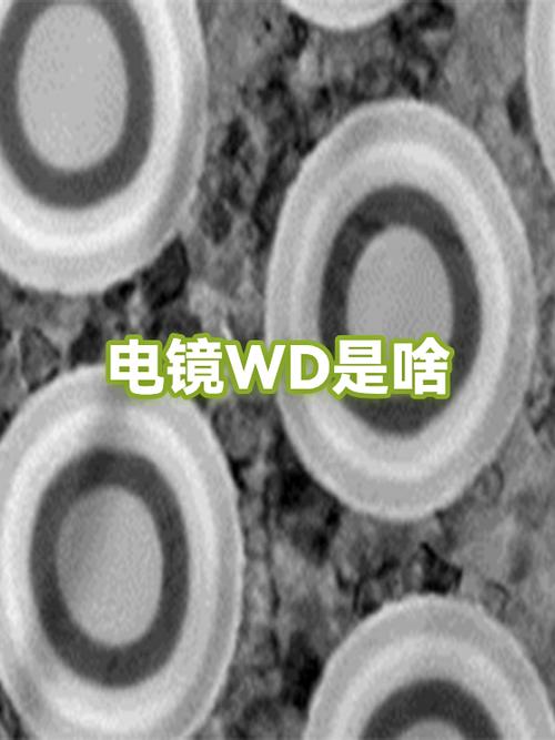 镜头wd是什么意思图标