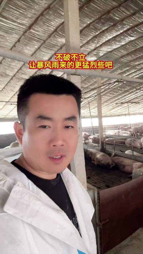 今年养猪挣钱吗图标