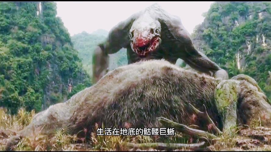 金刚和骷髅蜥蜴谁厉害缩略图