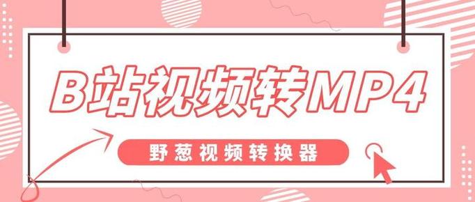 b站下载的视频格式改MP4图标