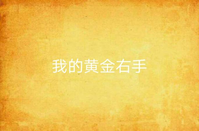 黄金右手小说图标