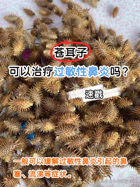无限极清湿片的功效图标