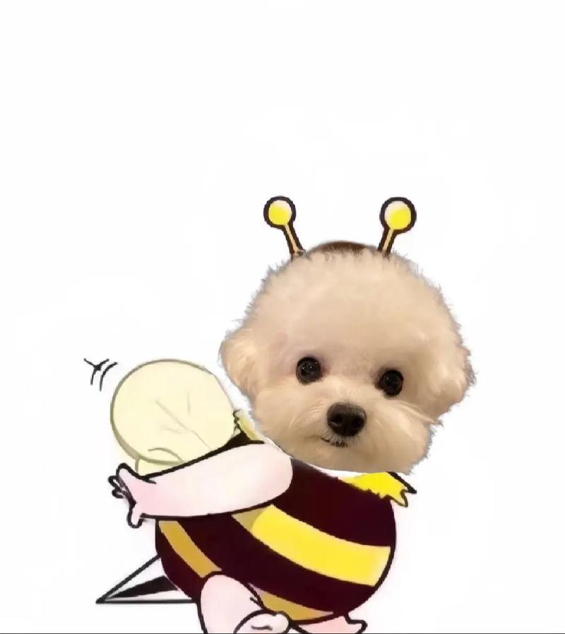 晴天小狗蜜蜂特效图标