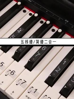 钢琴贴88键正确贴法图截图
