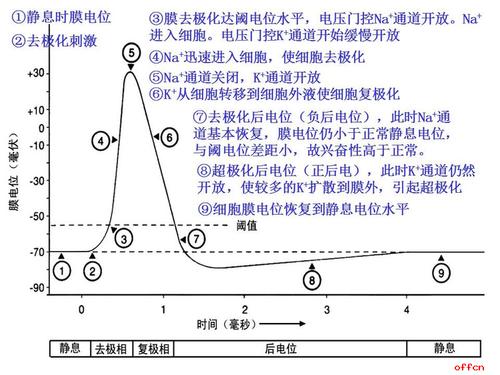 医学基础知识题库图标