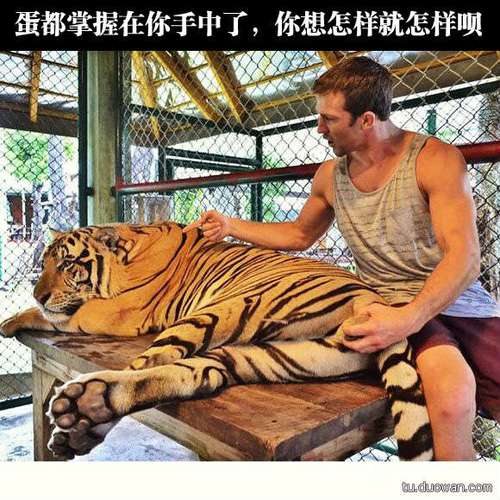 多玩囧图吧截图