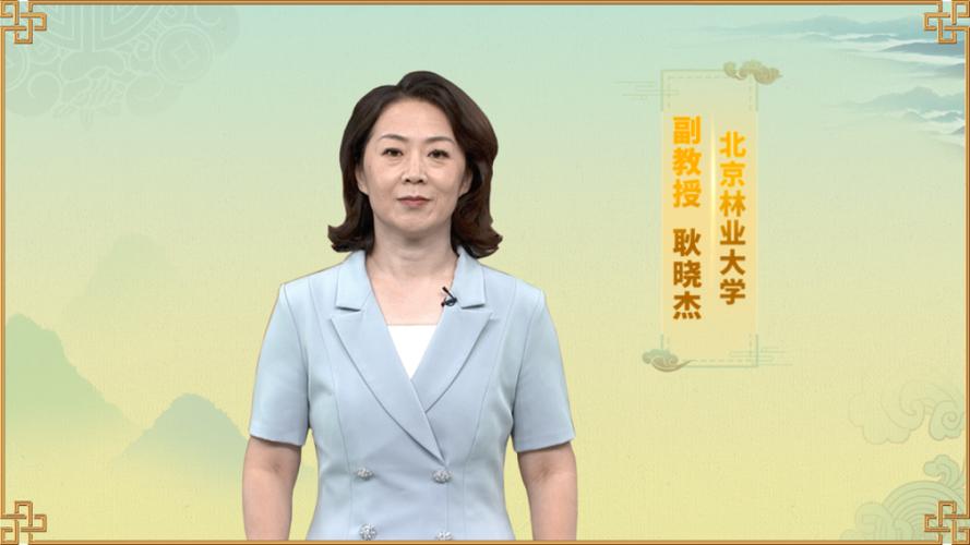 百家讲坛所有女讲师图标