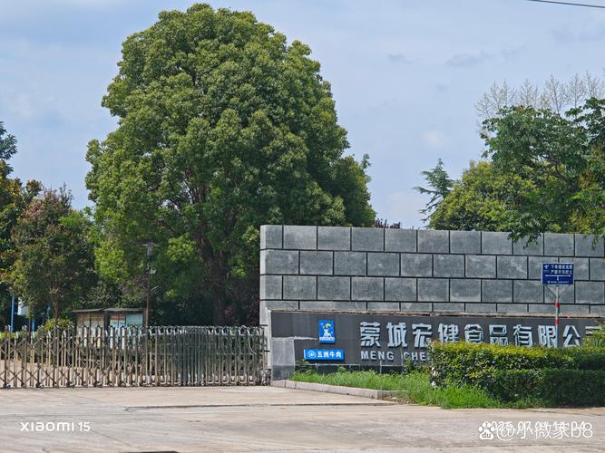 千腾集团图标