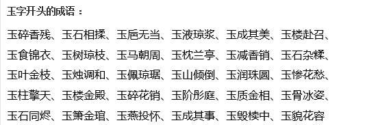 玉华成语图标