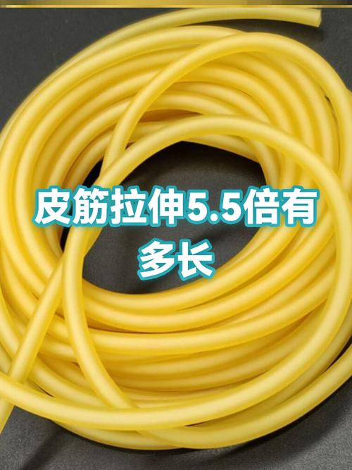 20厘米皮筋能拉多长图标
