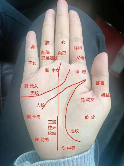 命盘在线八字排盘图标