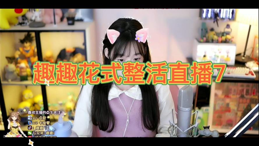 趣趣直播回放图标