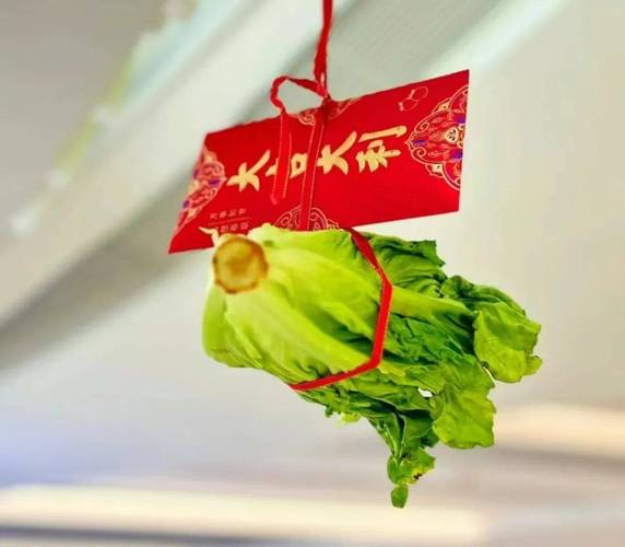 种菜领红包下载图标