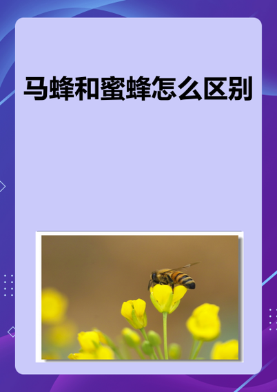 蜜蜂上蝶后看不出蜂路图标