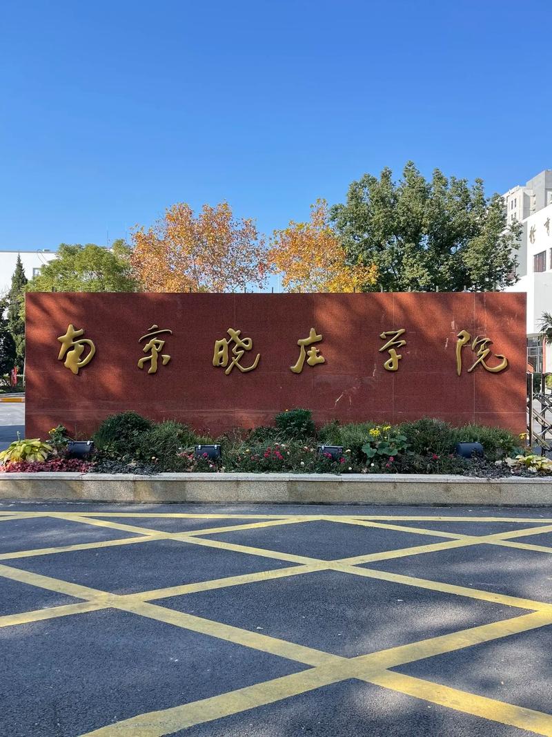 南京晓庄学院官网入口游戏截图