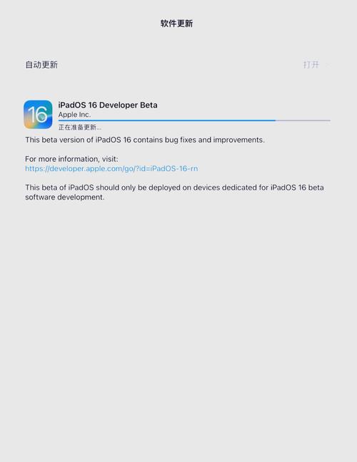 ipad系统更新需要多久图标
