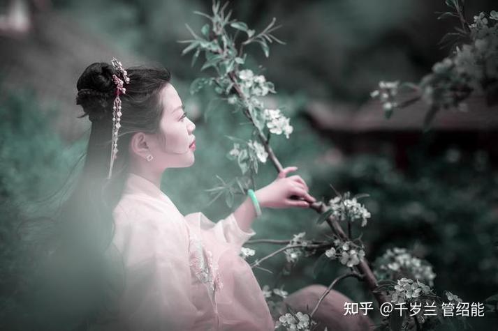 佳人依旧的下一句截图