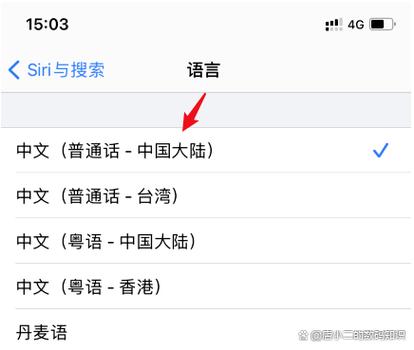 苹果自带导航怎么设置语言图标