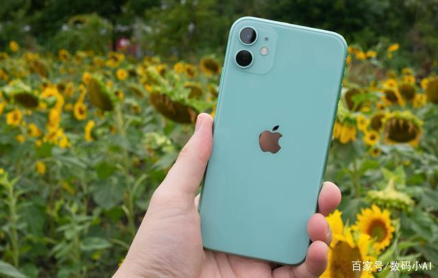 苹果11绿色图标
