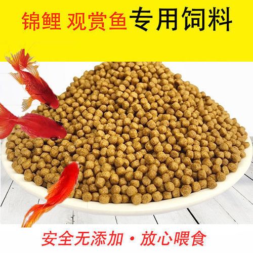 家养锦鲤喂什么饲料好