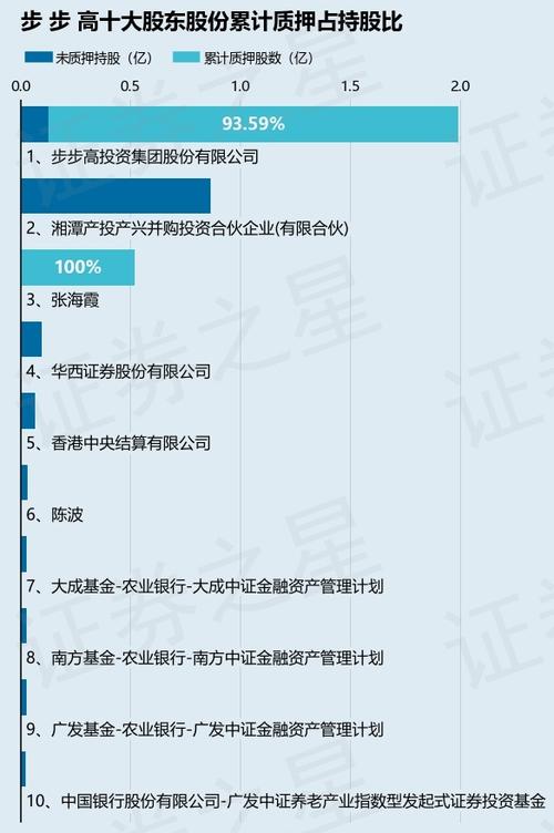 步步高十大股东图标
