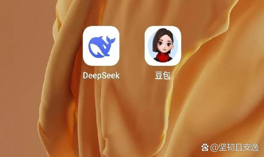 豆包和deepseek哪个好用图标