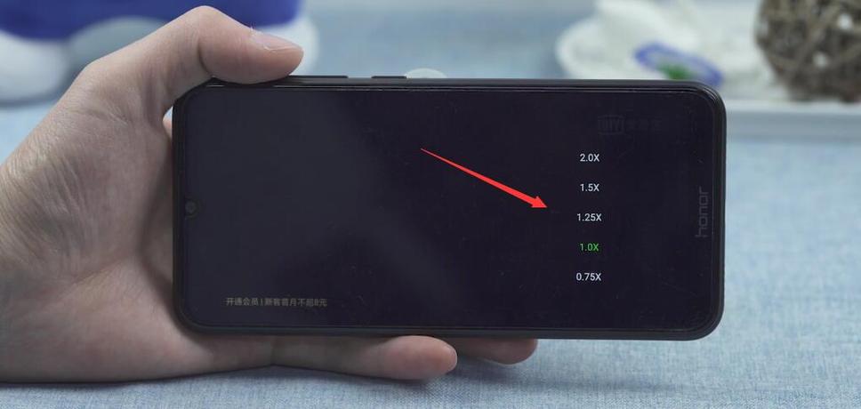 爱奇艺默认倍速是多少图标