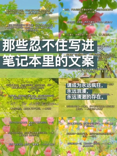 笔记本第一页文案图标