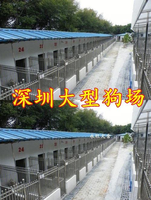 养狗场喂狗最实惠方法