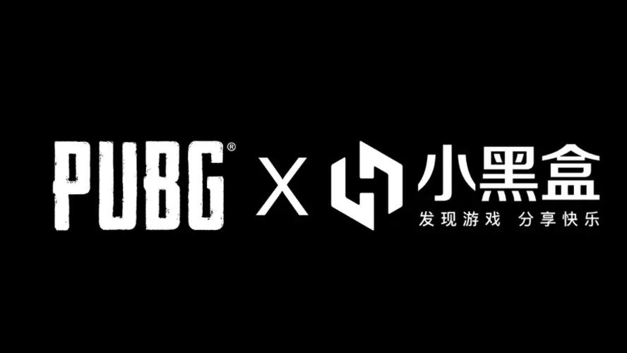 小黑盒pubg头像怎么换不了图标