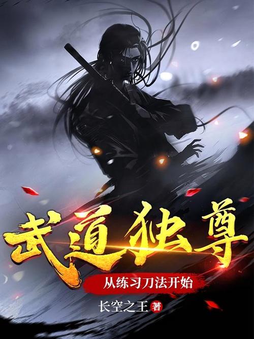 熟练度面板从刀法开始小说图标