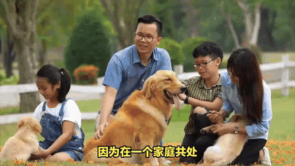 爱狗不爱父母的人性格截图