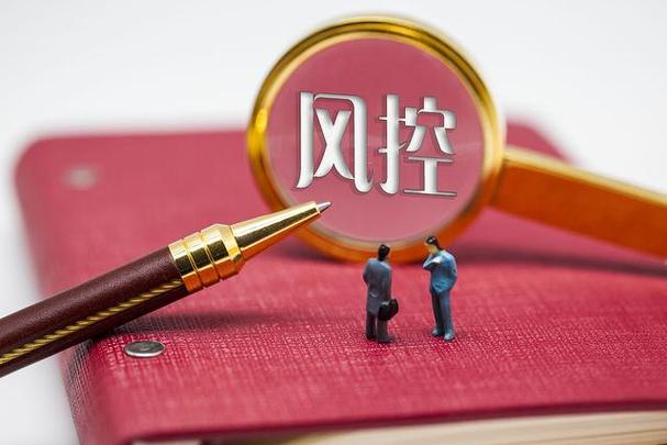 风控是什么意思图标