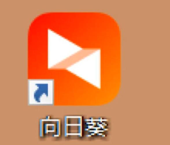 向日葵远程控制下载安装截图