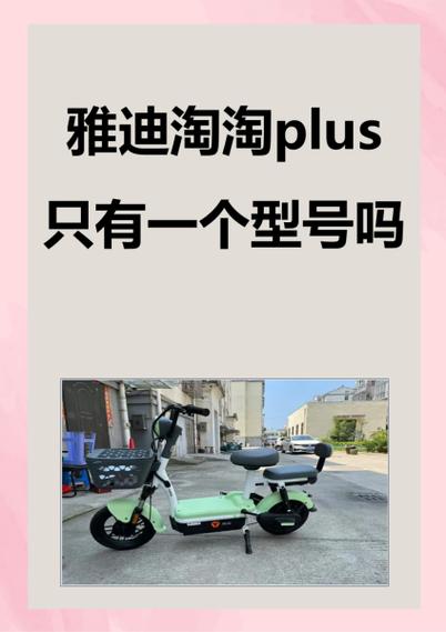 雅迪v20参数配置详情图标