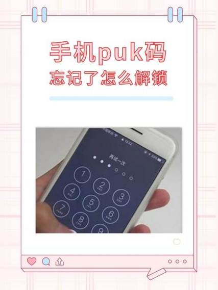 固定拨号pin2码忘了怎么办图标